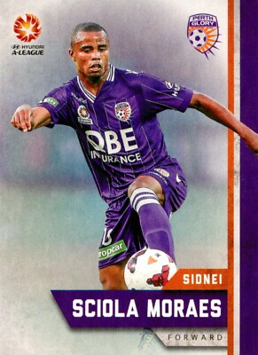 2015 2016 PERTH GLORY A-League Card SIDNEI SCIOLA MORAES | eBay Australia