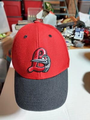 Great Lakes Loons Hat Cap Strap Back Red Black MILB Minor League ...