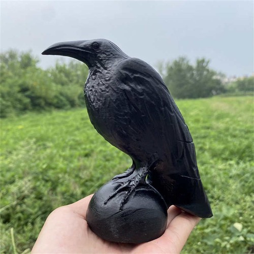 1pc Natural obsidian crow carved Quartz Crystal skull Reiki Healing Decor Gift | eBay