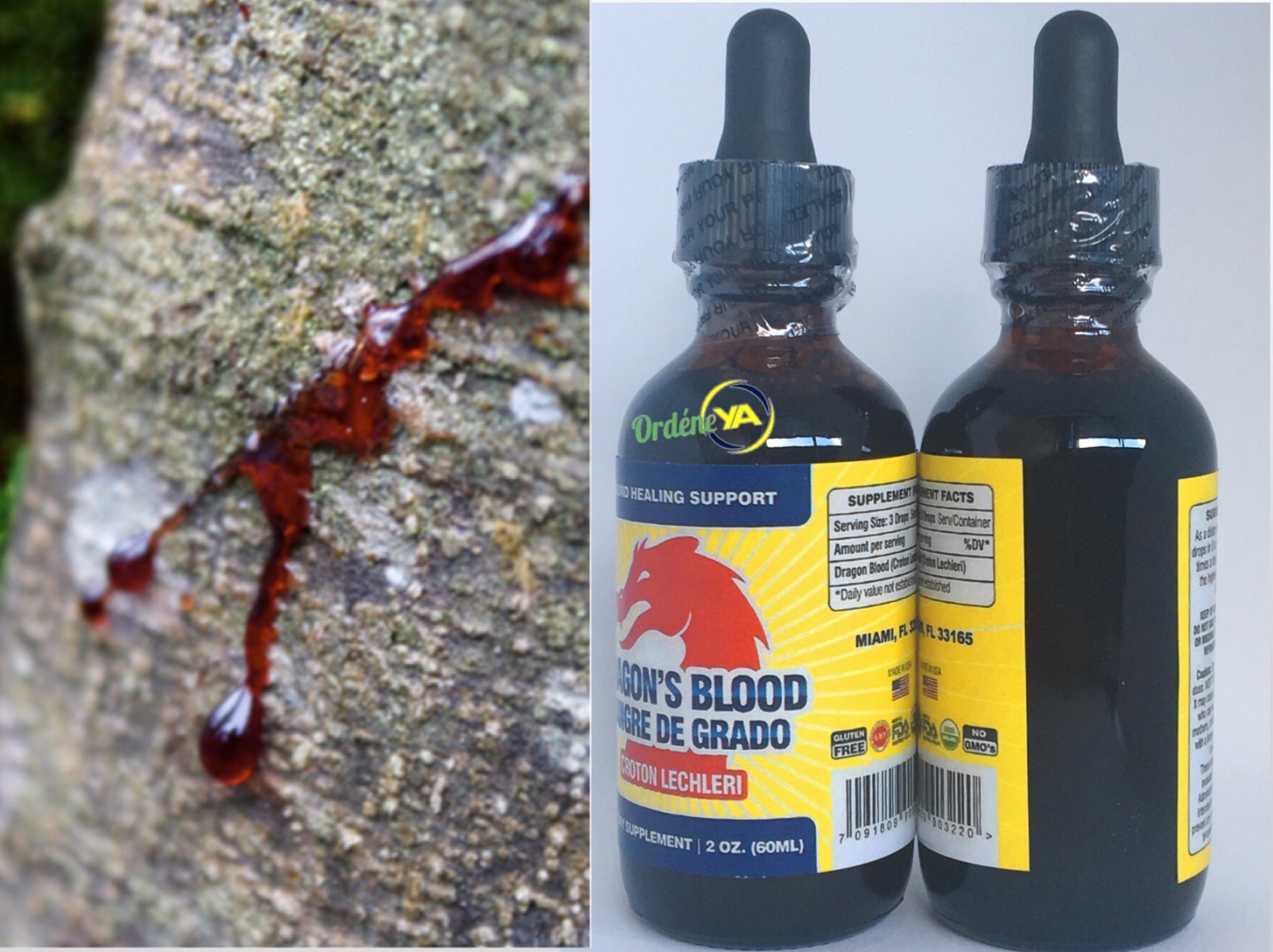 2 DRAGON'S BLOOD 100% PURE CROTON LECHLERI TREE SAP LIQUID DROPPER ...