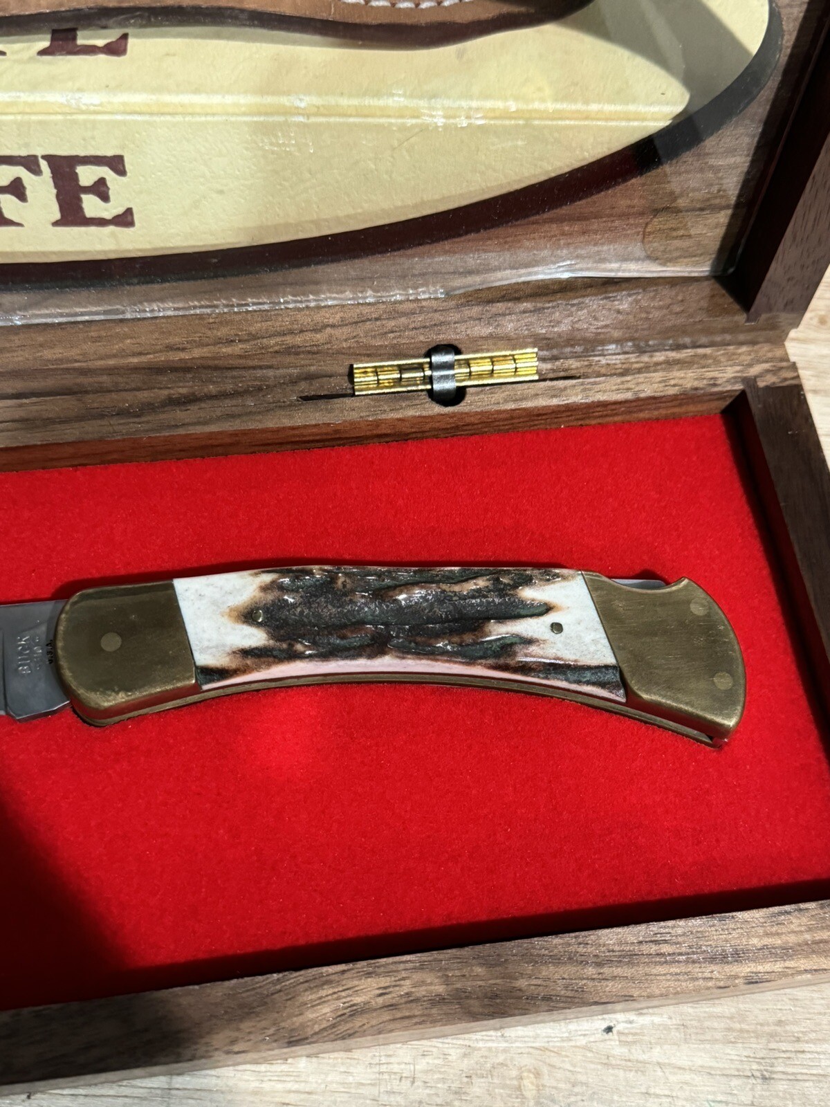 BUCK 110 Custom Design Michael Prater Painted Pony Folding Knife W ...