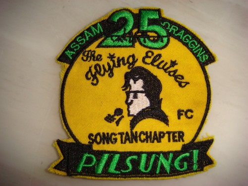 US 25th FIGHTER SQUADRON " THE FLYING ELVISES ", KOREA WAR PATCH | eBay
