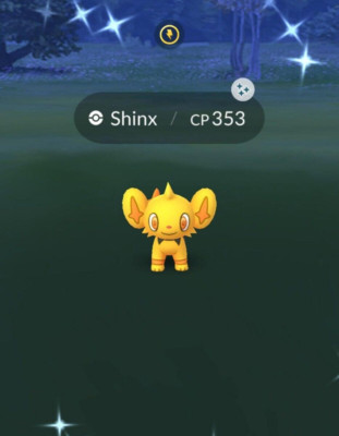 Shiny Shinx - Trade - Registered Shiny Shinx require | eBay