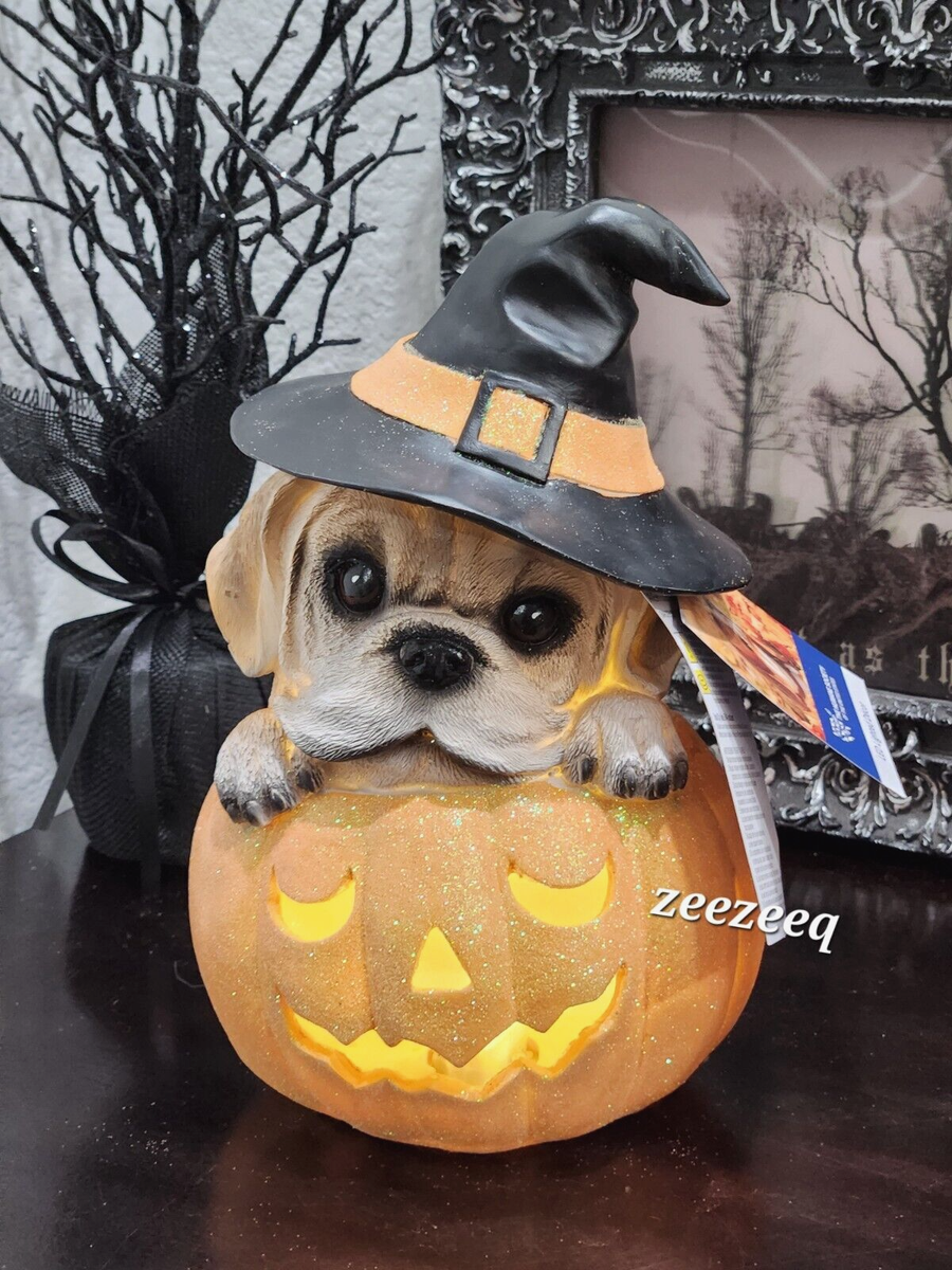 Dogs Cute Pumpkin Ideas
