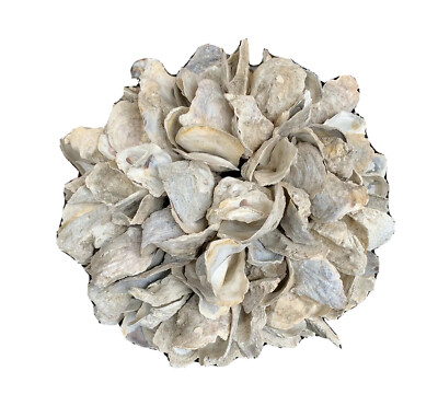 Oyster Shell Sculpture Vintage Folk Art OOAK Large 12” | eBay