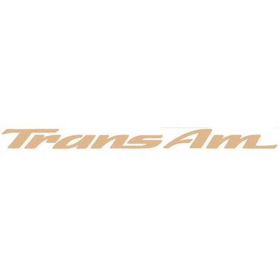 1993-02 Trans AM Gold "Trans Am" Door Emblem Overlay Decal | eBay