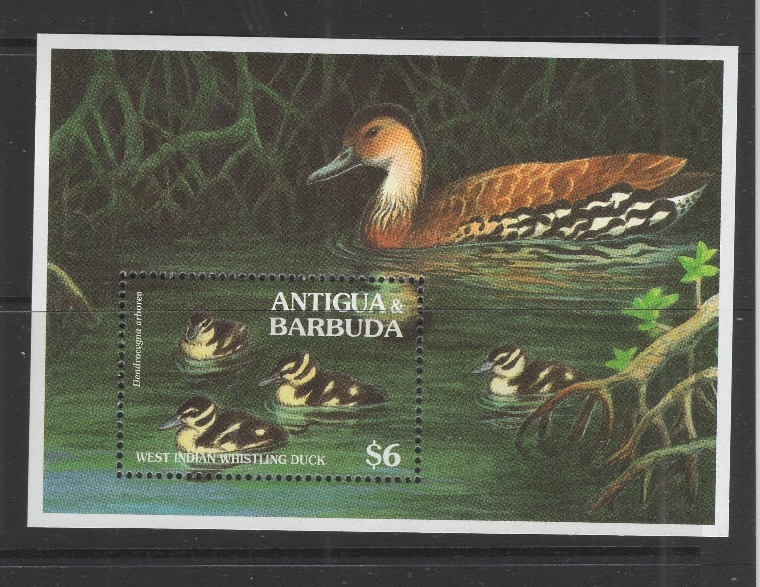 Antigua #1855 (1994 WWF Duck sheet) VFMNH CV $4.60 | eBay