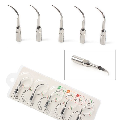 10xP1 Dental Scaler Perio Scaling Tip for EMS WOODPECKER Ultrasonic ...