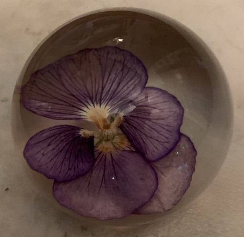 Tarax Infinity Pansy Lucite Paperweight Acrylic Handcrafted 3” | eBay