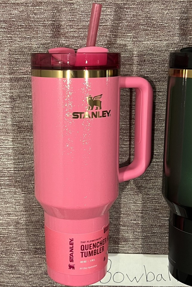 Stanley X Wicked 40oz Tumbler Target Exclusive Bundle Set Elphaba ...