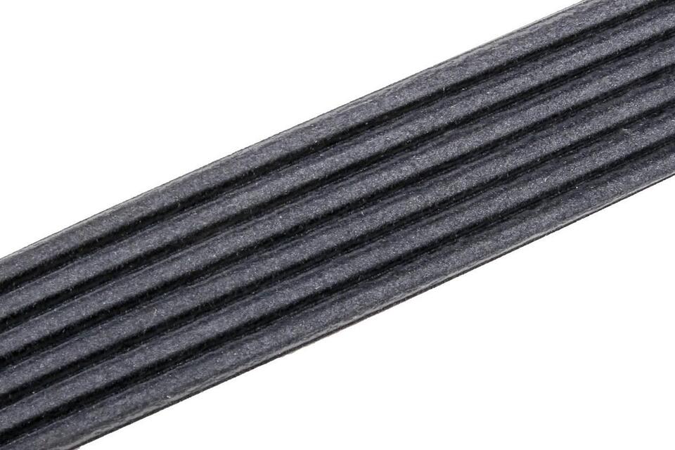 GM Genuine Parts 92248982 Serpentine Belt | eBay