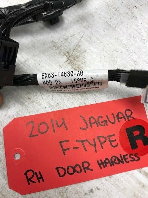 2014 JAGUAR FTYPE F-TYPE Cablaggio Porta Lato Destro EX53-14630-AG | eBay
