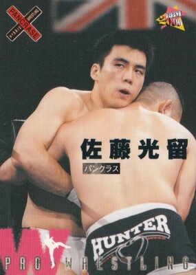Hikaru Sato 2000 BBM Pro Wrestling #112 | eBay