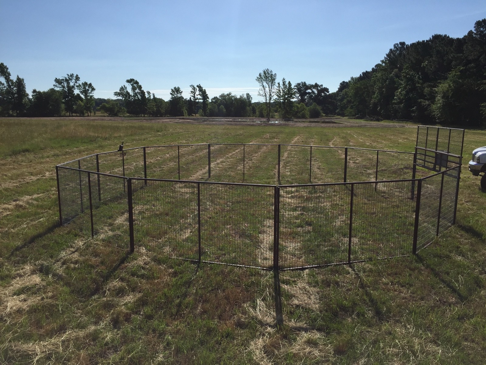 Wireless Cell Phone Activated Hog Trap (camera only) | eBay