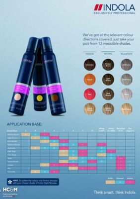 Indola Professional Hair Coloured Mousse Temporary Colour All Shades | eBay