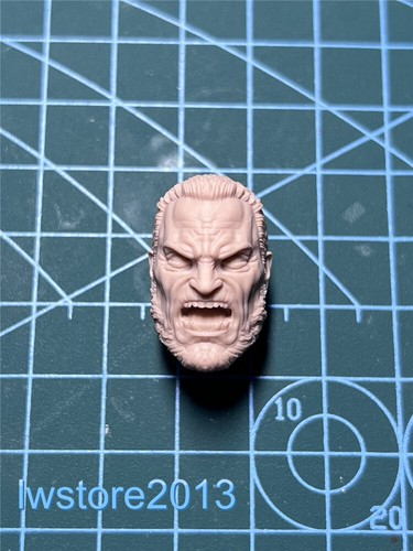 1:6 Angry Wolverine Logan Head Sculpt Carved For 12" Male Action Figure ...