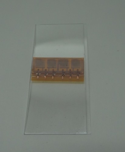Vishay Full-Bridge Strain Gauge 1000 OHMS 6695-01-227-0360 C-030714-B ...