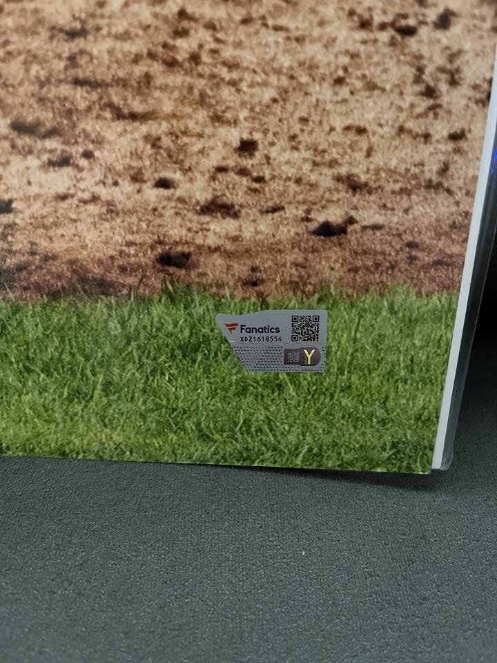 Chicago White Sox Lucas Giolito Signed 16x20 Photo No Hitter Fanatics ...