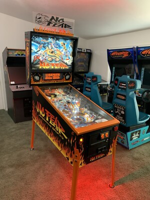 The Ultimate "No Fear" Pinball Machine - Fully Restored | eBay