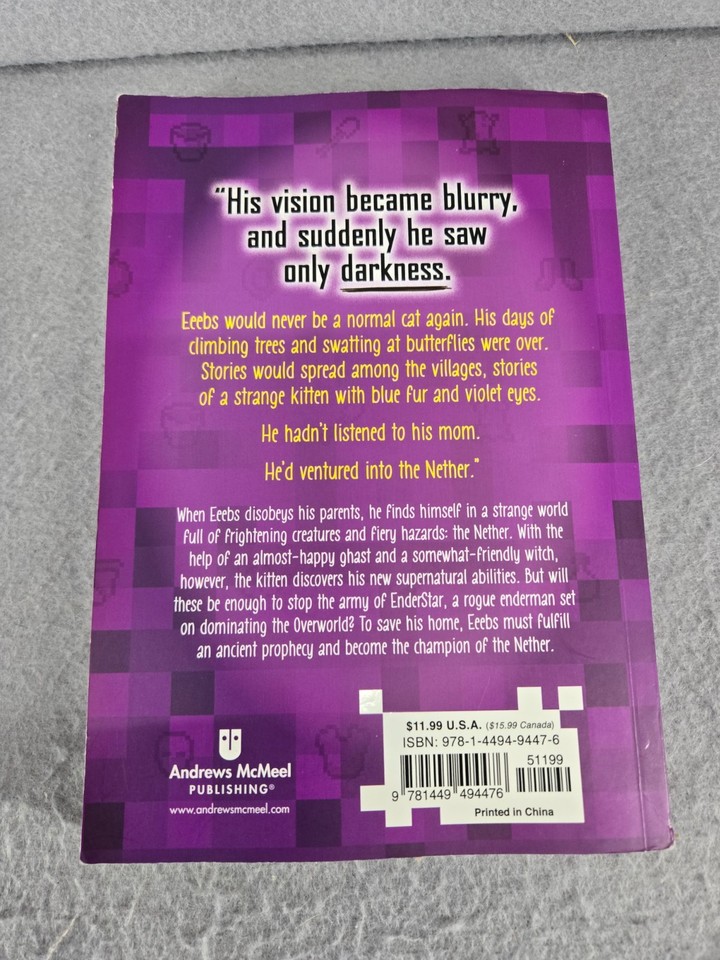 Tales of An 8-Bit Kitten, Book 1 & 2, Cube Kid, Minecraft Adventure | eBay