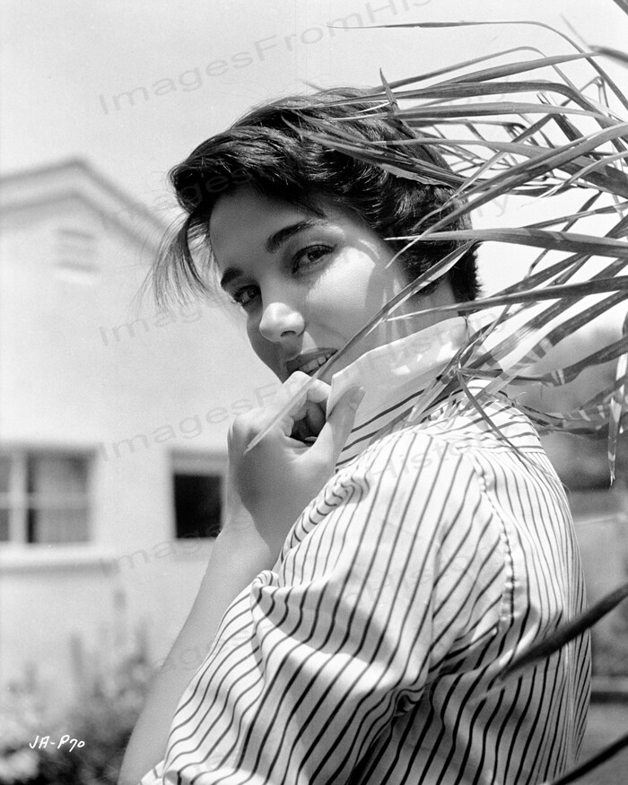 8x10 Print Julie Adams Beautiful Portrait #5502171 | eBay