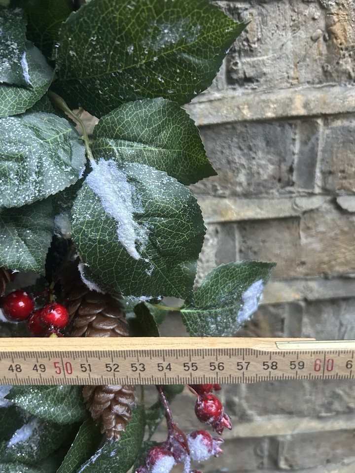 Gisela Graham X-Large Christmas Door Wreath Sale Ted Berry Frost/ Cone ...