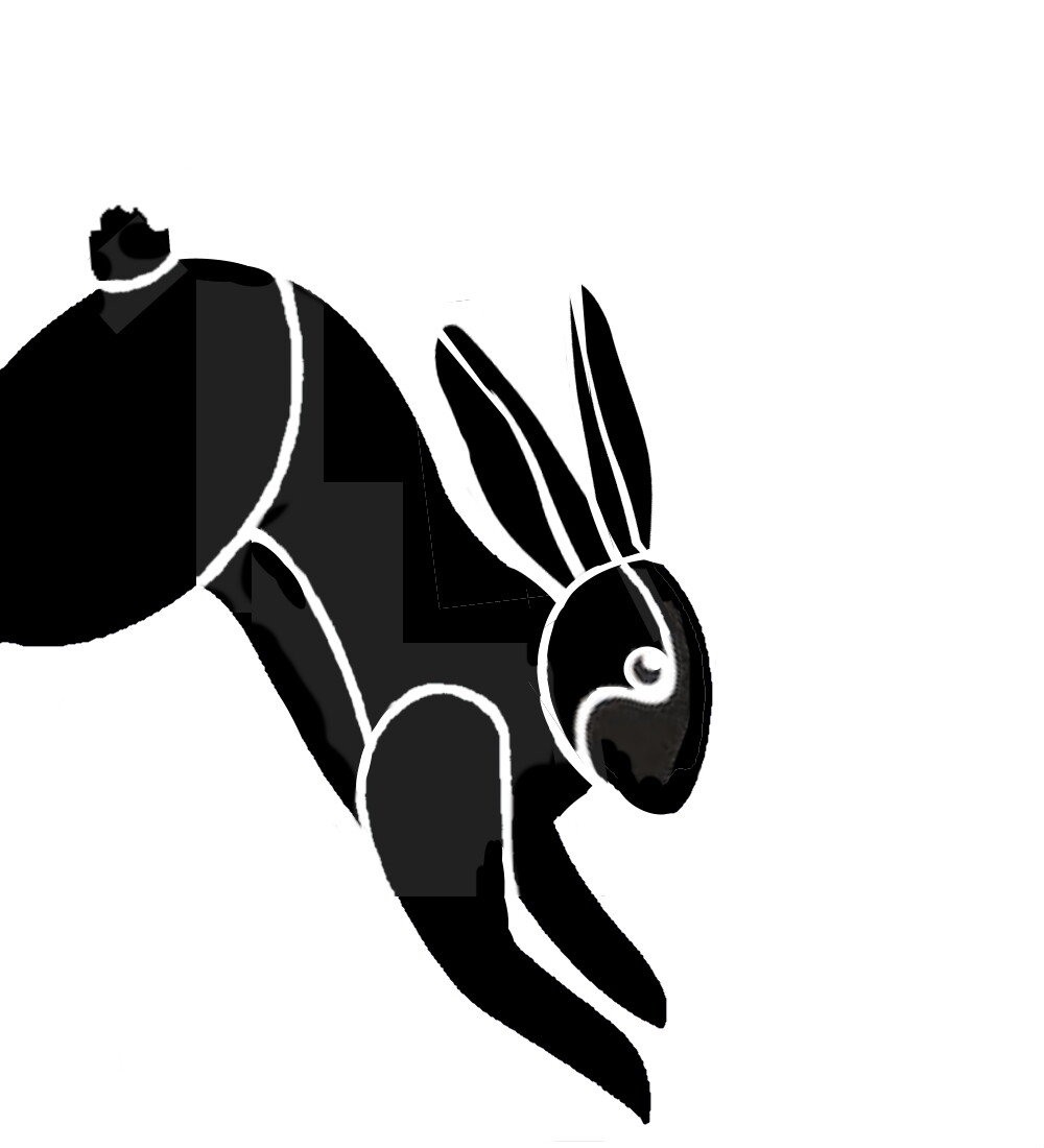 Leaping Rabbit Stencil Easter Bunny Stencils | eBay