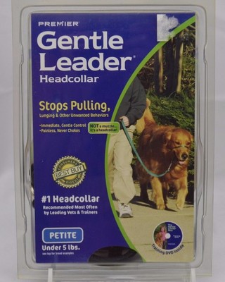 Gentle Leader Head Collar Stops Pulling Lunging Jumping DVD Black ...
