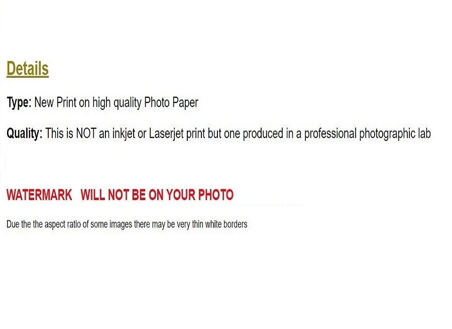 WW2 Picture Photo US Air Force Bomber Consolidated B-24 Liberator on ...