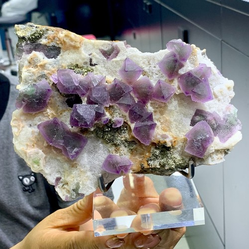2.26LB Rare transparent purple cubic fluorite mineral crystal sample ...
