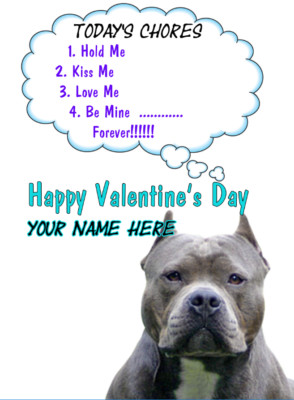 American Pit Bull tv330 Fun Cute valentines Day Card A5 Personalised ...