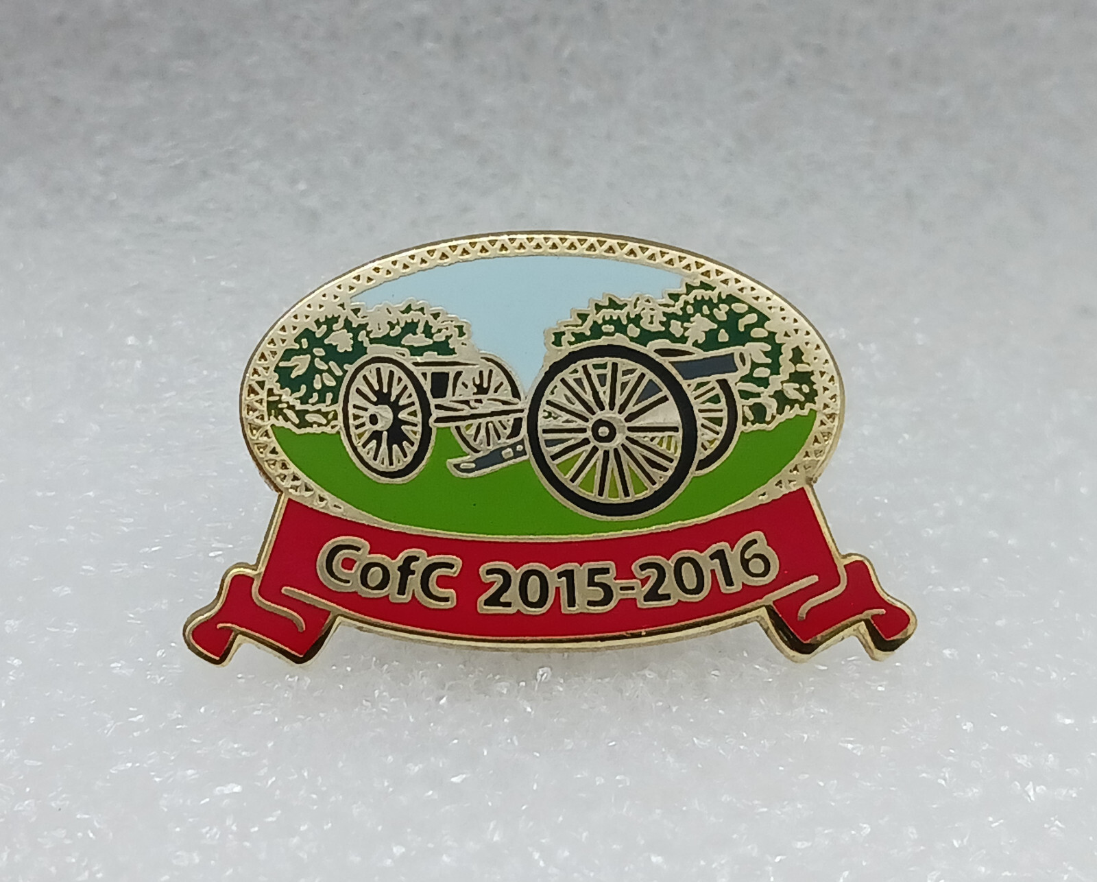 United Daughters of the Confederacy UDC CofC Pin | eBay