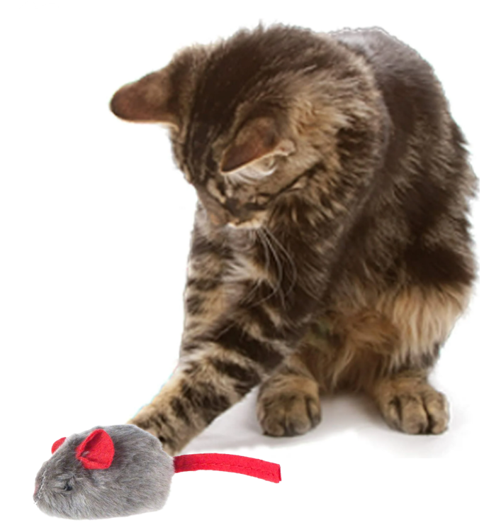 Cat Mouse Squeak Catnip Toy Realistic Microchip Squeak Sounding Sound ...