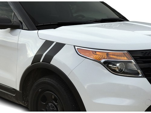 Fender Racing Hash Stripes Decal for 2011 2012 2013 2014 2015 Ford ...