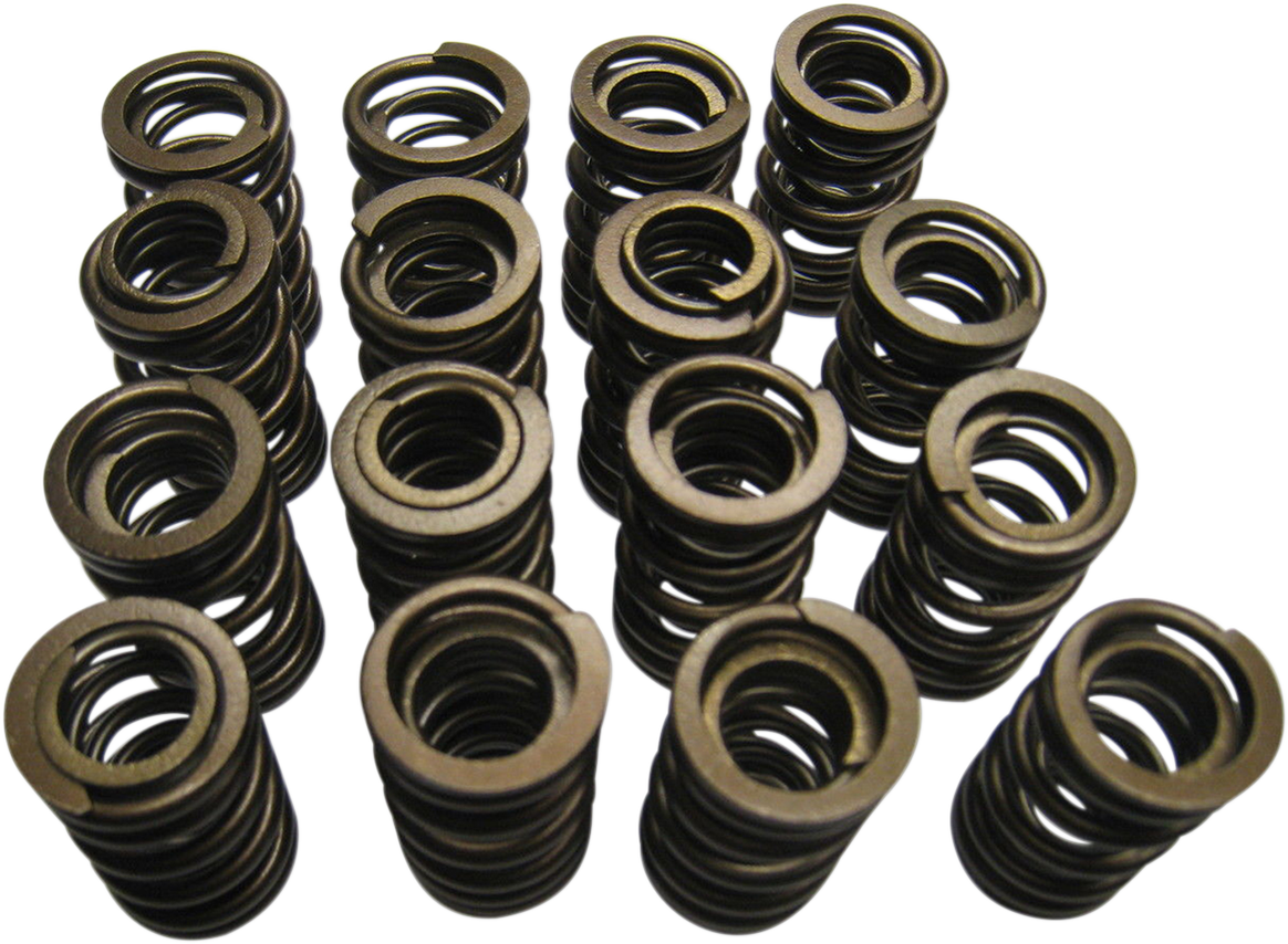 Kibblewhite Valve Spring Kit 6060560 | eBay