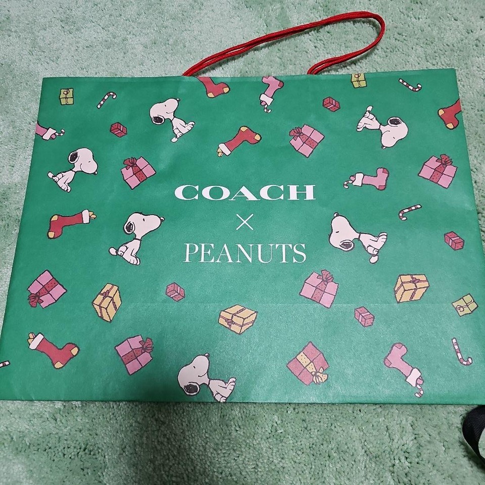 Peanuts Snoopy Shopping Bag | eBay