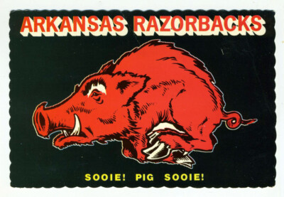 1982 Postmarked Postcard- Arkansas Razorbacks- Sooie! | eBay