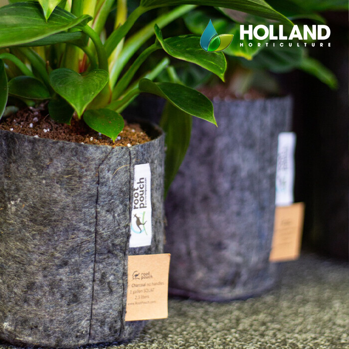 Root Pouch Hydroponic Reusable Fabric Rhizo Pot GREY 3.8L 8L 12L 16L ...