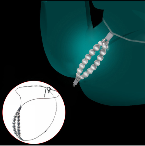 Stainless Steel Lock Belt Pants solid beads Labia Clip Clitoris Clamp ...