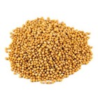 Pili Sarson Yellow Mustard-Pili Sarson-Yellow Mustard Seeds-100gm | eBay