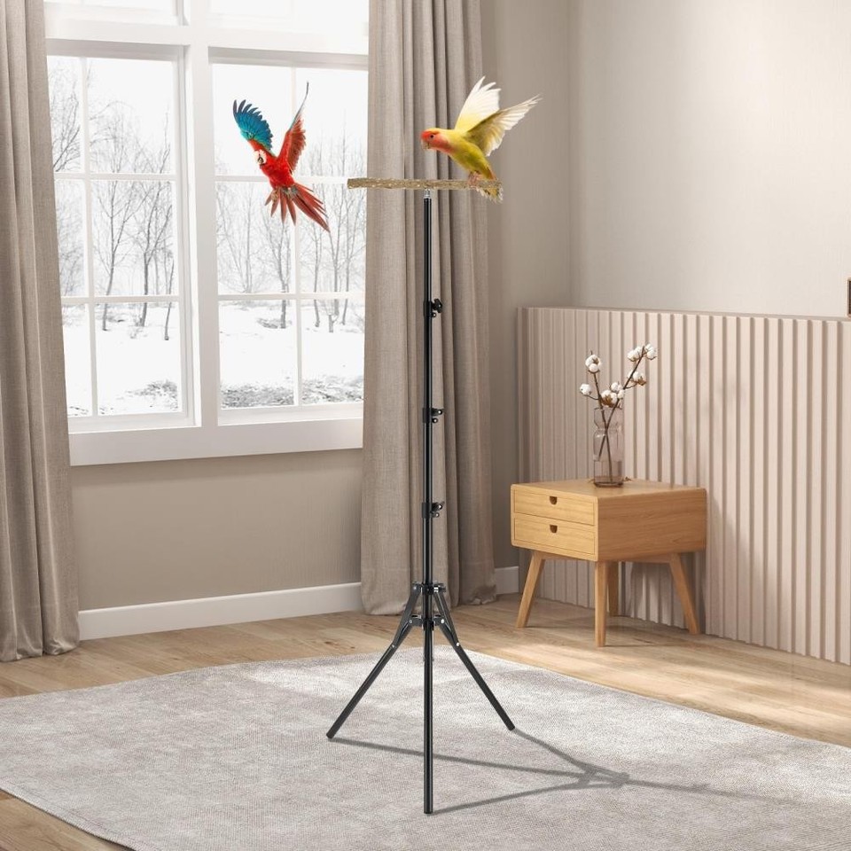 Wood Bird Training Perch Stand - 16-63 Inch Height Adjustable Bird ...