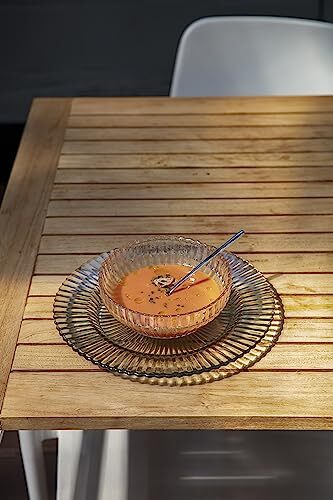 Archie Glass Dinner Plate Set Of 4 10.6 Inch Clear 646292436945| eBay