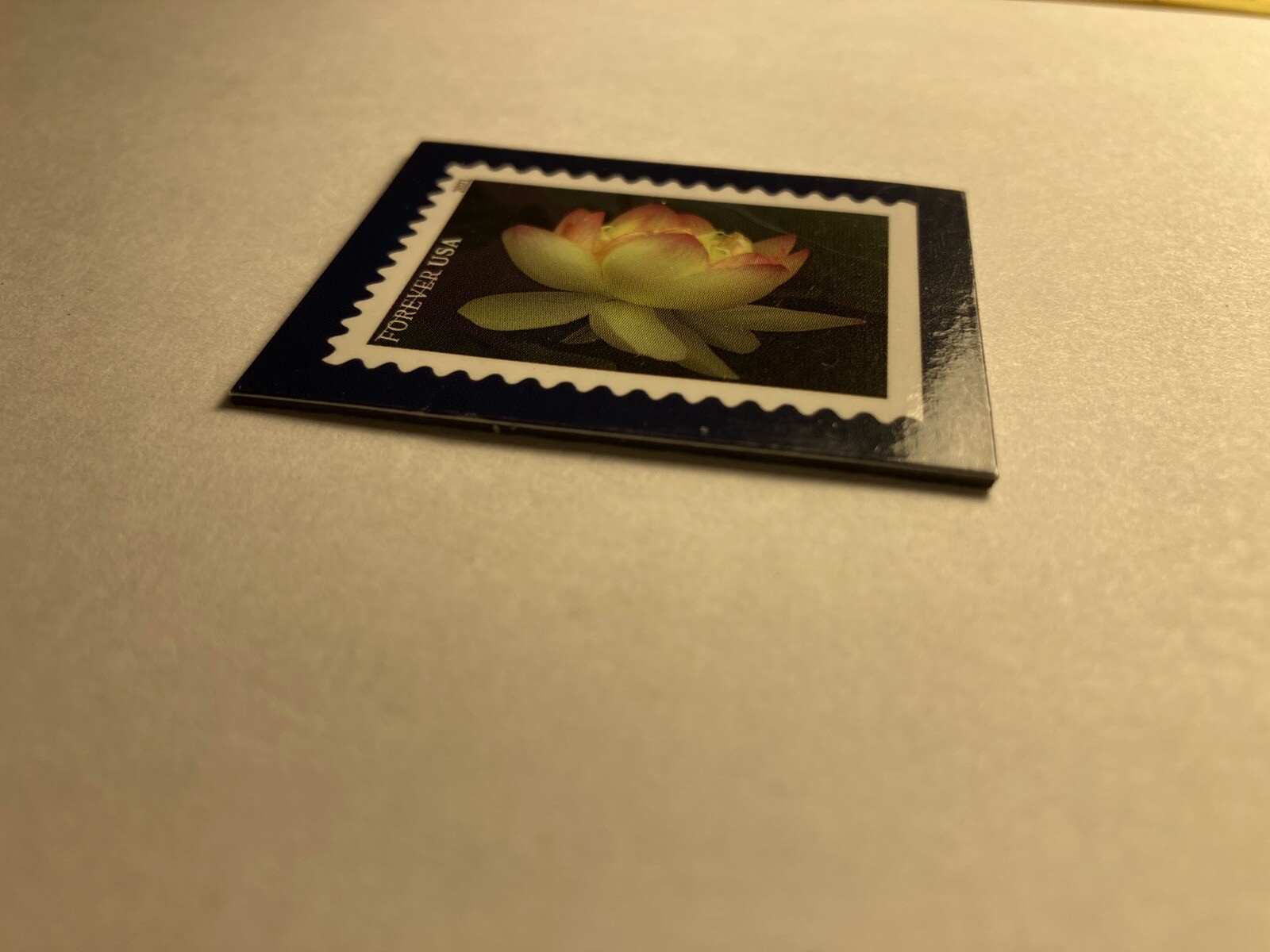 USPS Collector Stamp Magnet - Forever USA - 2021 Flower | eBay