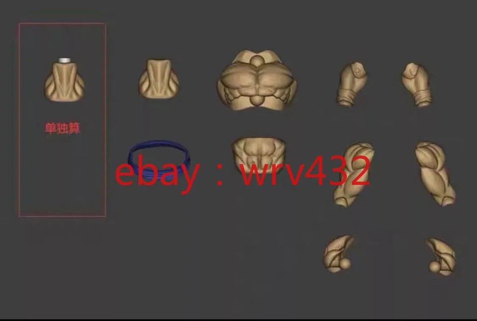 TK CUSTOM Dragon Ball SHF goku the upper body kit New In stock | eBay