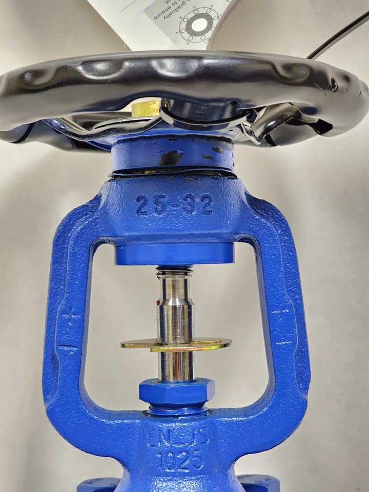 NEW Spirax BSA1T DN25(1") PN16 Flanged Globe Valve 1840200 | eBay