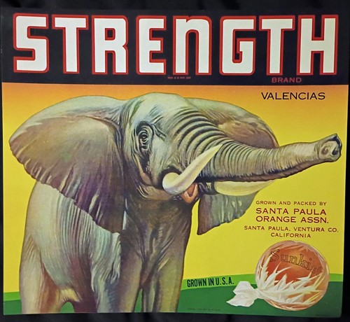 Original Strength Brand Sunkist Orange Crate Label Santa Paula, Calif ...