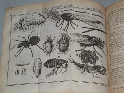 1739 BOOK NATURE DISPLAY'D BEING DISCOURSES ON PARTICULARS OF NATURAL ...
