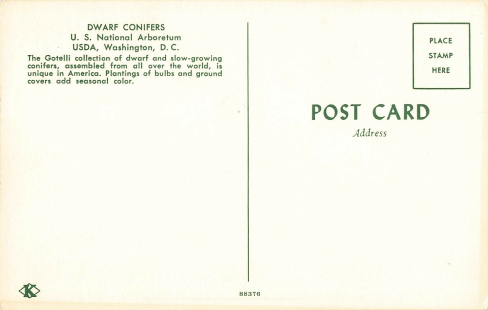 Postcard Dwarf Conifers US National Arboretum USDA Washingtond DC | eBay