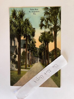 St. Augustine, Florida - Palm Row - vintage postcard | eBay
