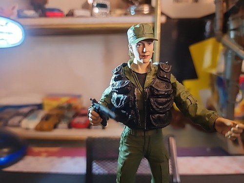 Stargate 1 LT. Colonel Samantha Carter Action Figure Series 2 2006 | eBay